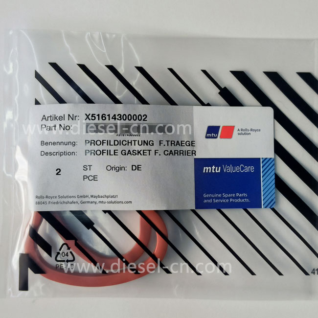 X51614300002 - MTU PROFILE GASKET - Tripoly Engine